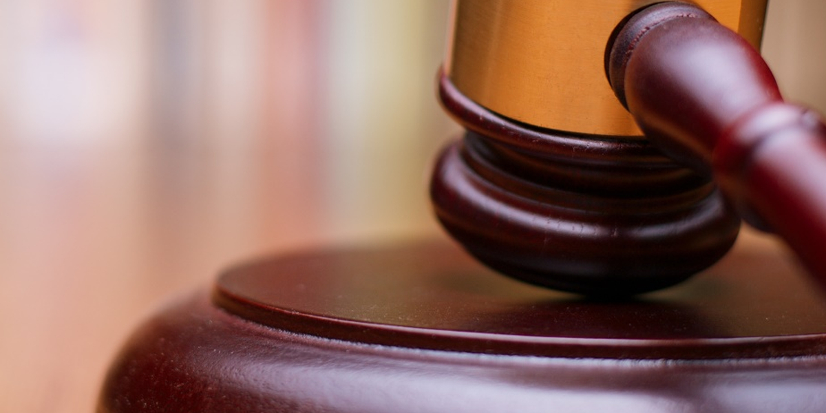 Tödlicher Baumsturz in Augsburg könnte vor Gericht landen - Radio Fantasy | Immer die neuen Hits!